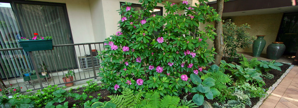 River House Peekskill | A Resort-Style Co-op Residence in the historic ...