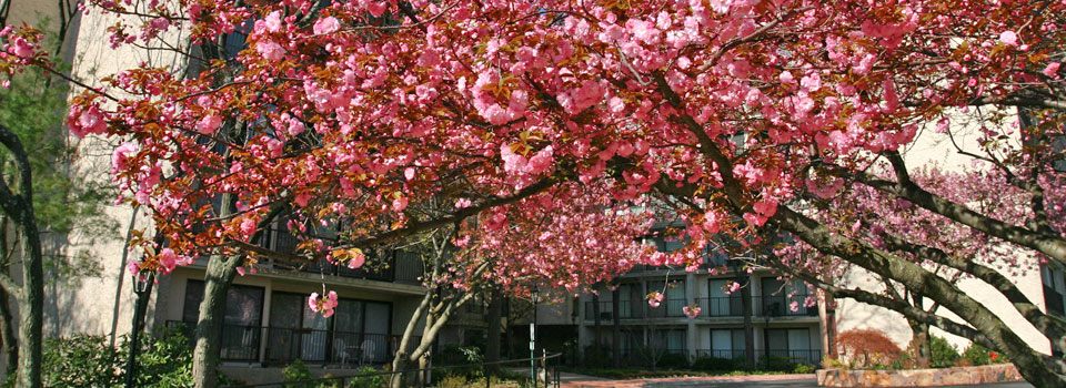 River House Peekskill | A Resort-Style Co-op Residence in the historic ...